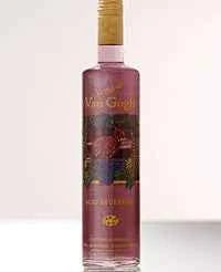 Vincent Van Gogh Acai-Blueberry Flavoured Vodka (750ml) - Liquorworld